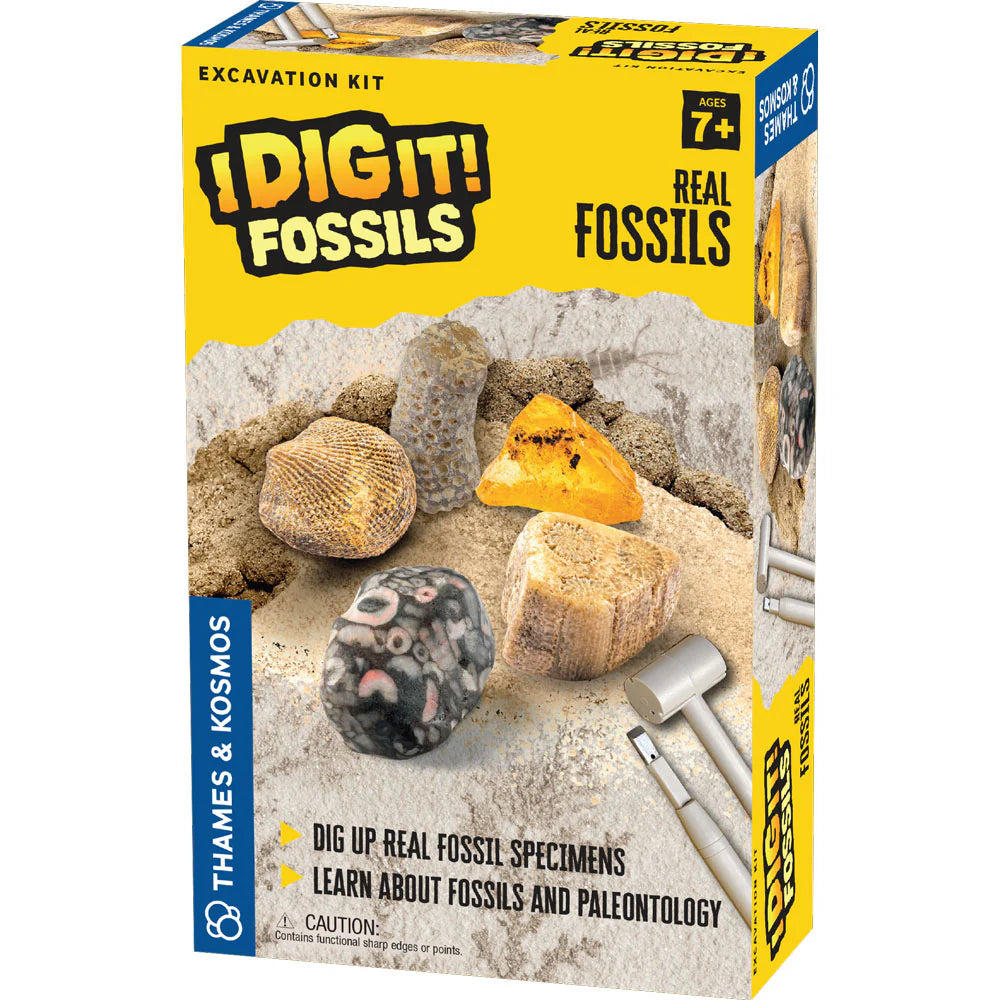 Thames & Kosmos - I dig it! fossils - real fossils excavation kit ...