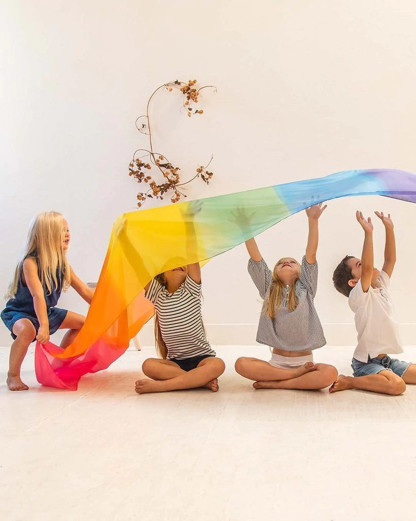 Sarah's Silks – Dilly Dally Kids