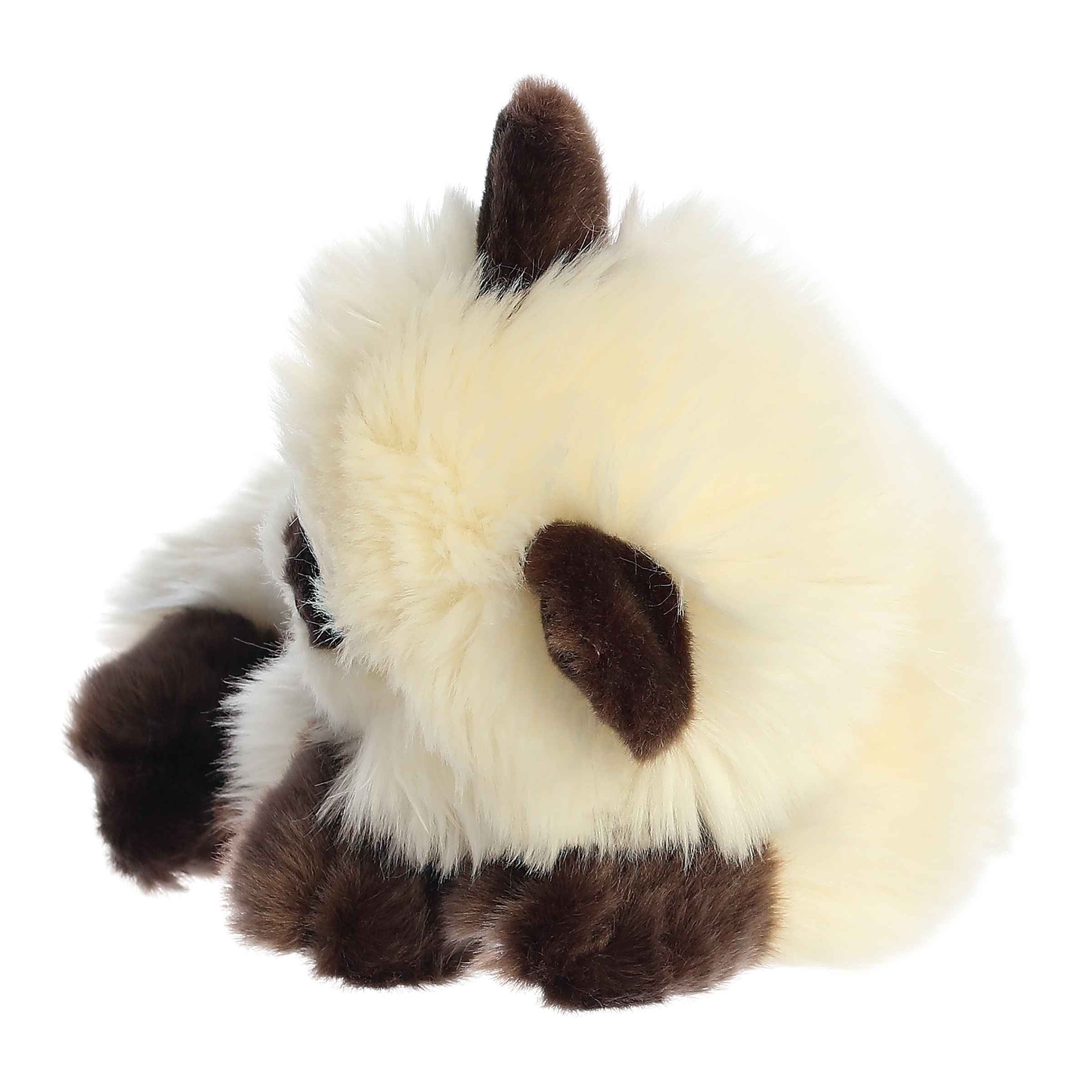 Aurora miyoni sleepy himalayan kitten – Dilly Dally Kids