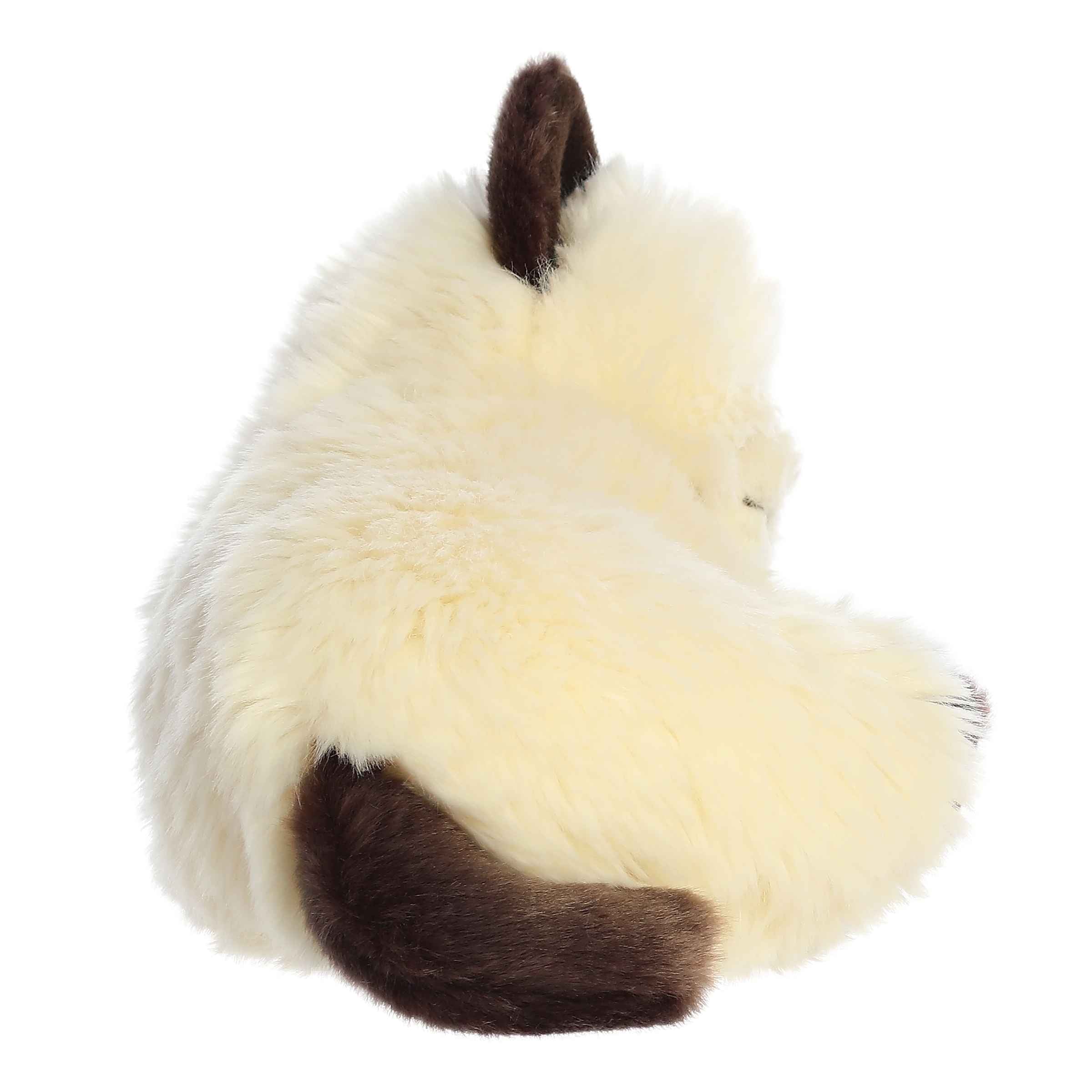 Aurora miyoni sleepy himalayan kitten – Dilly Dally Kids