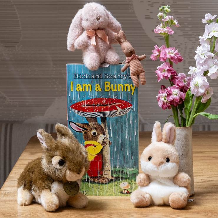 Baby Toys – Dilly Dally Kids