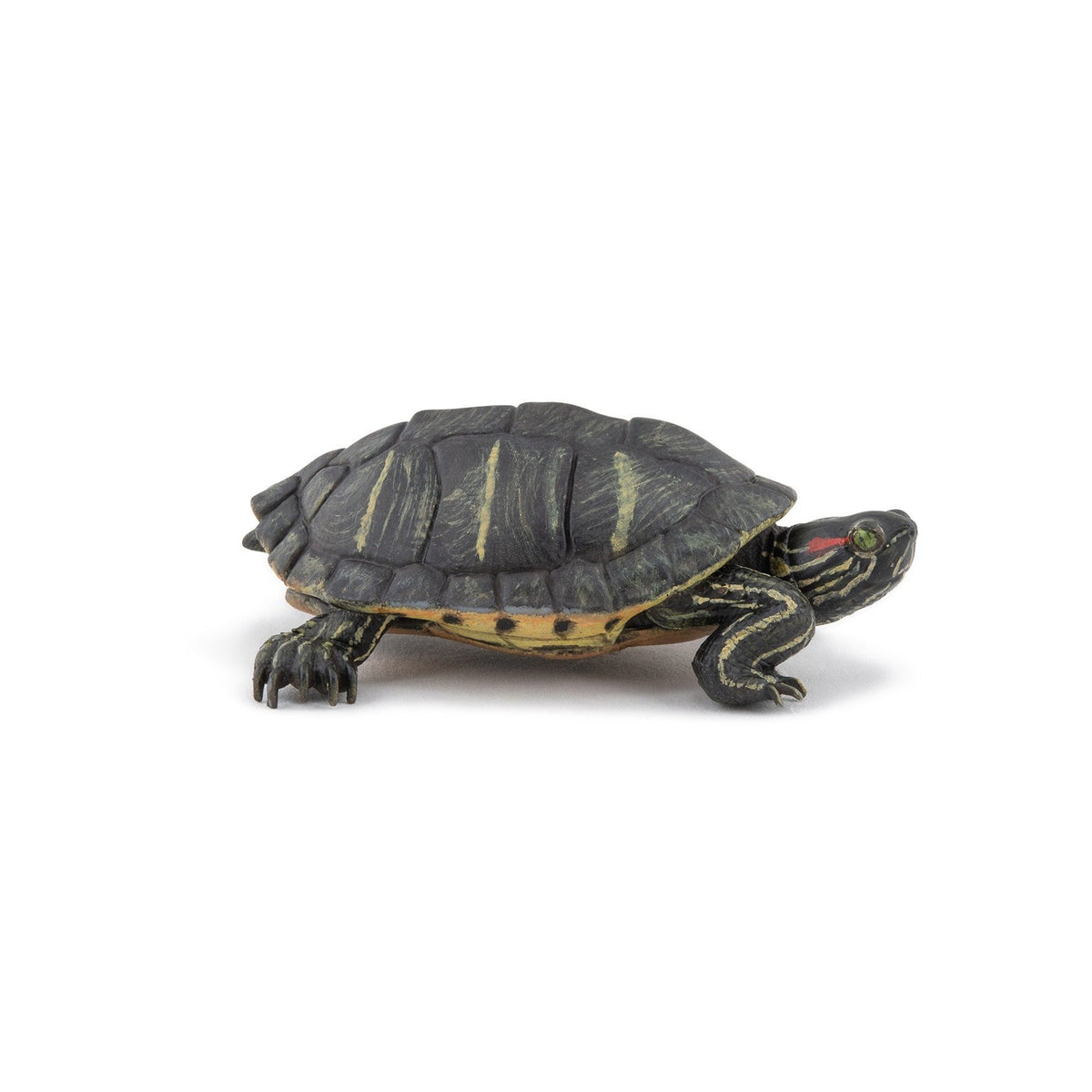 Papo Florida turtle – Dilly Dally Kids
