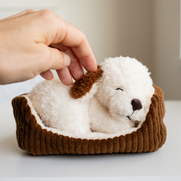 Toys for 2 Year Old Toddlers – Page 7 – Dilly Dally Kids