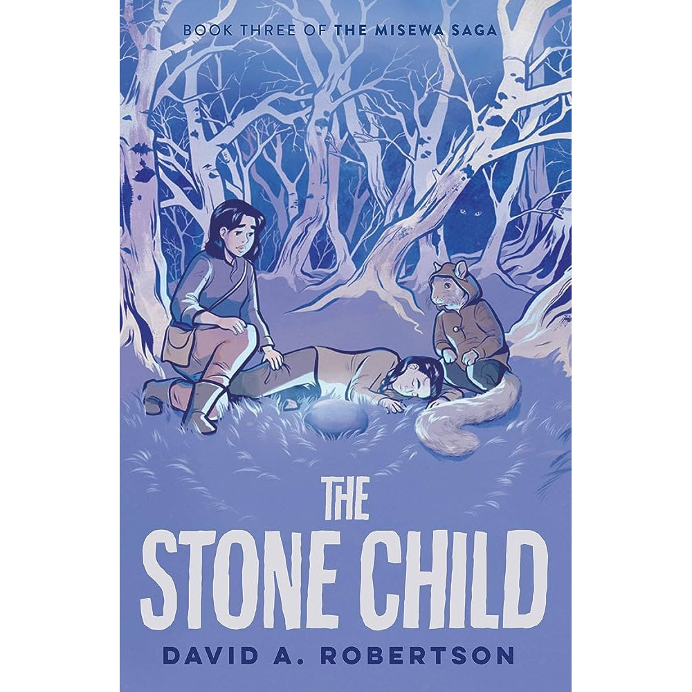 the stone child: the misewa saga – Dilly Dally Kids