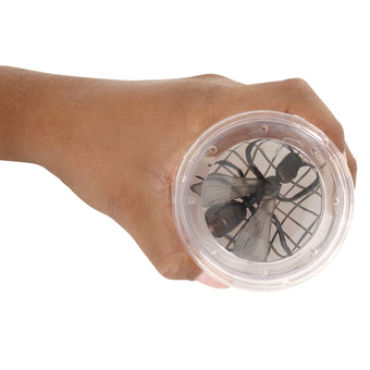 curious kids nature guide – Dilly Dally Kids