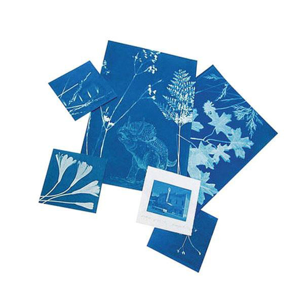 solar print paper – Dilly Dally Kids