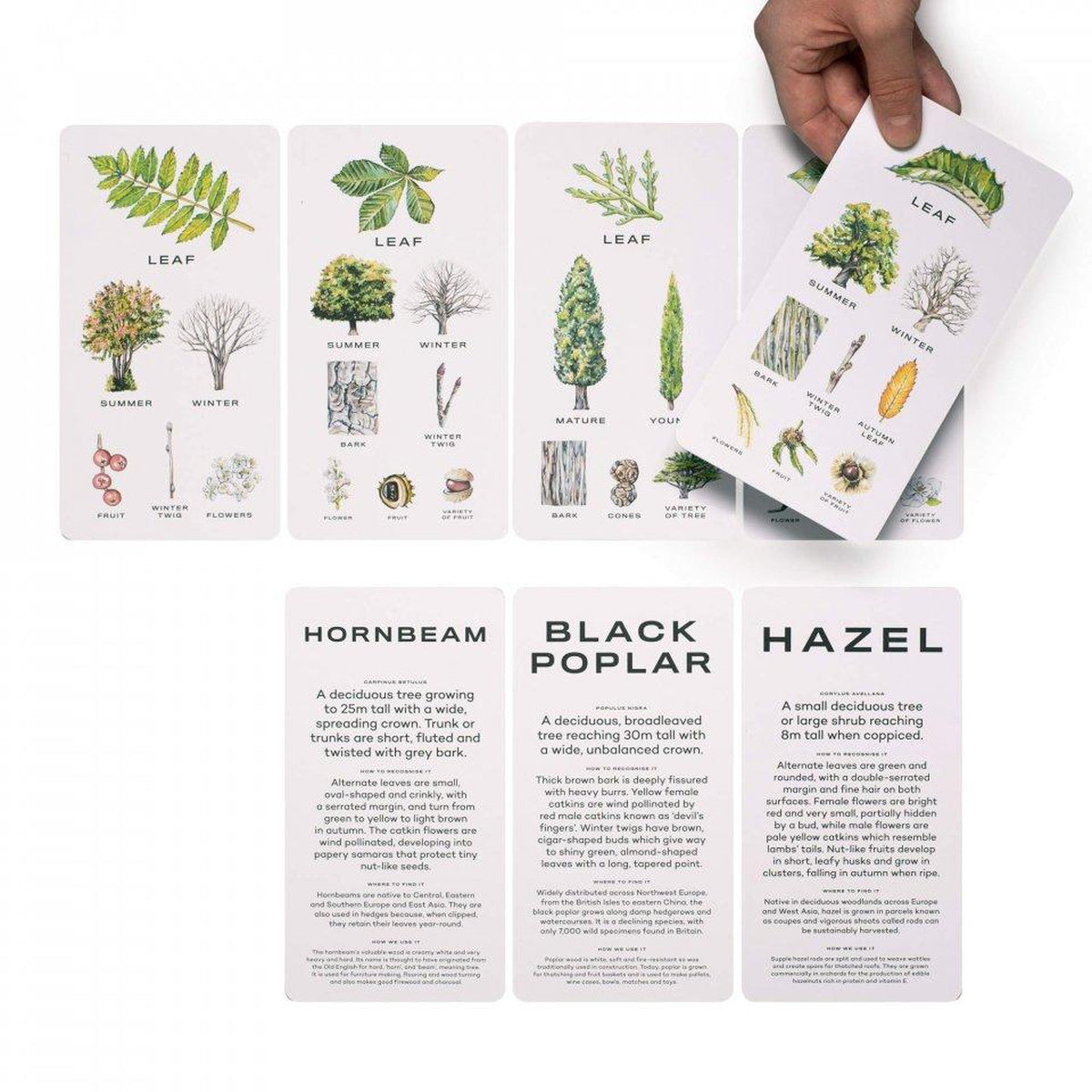 tree vision cards – Dilly Dally Kids