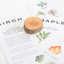 tree vision cards – Dilly Dally Kids