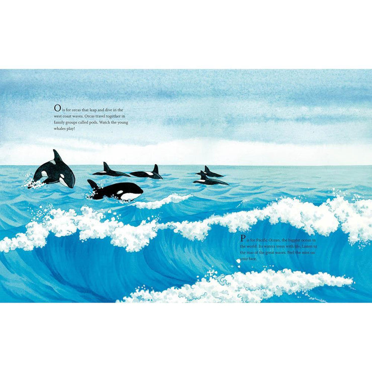 West Coast Wild: A Nature Alphabet – Dilly Dally Kids